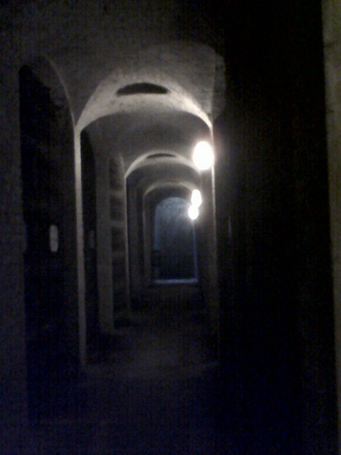 Catacombs visit | West Norwood News